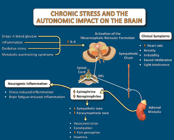 Autonomic Dysfunction – Real or Not Real – Very Real | Bro Research